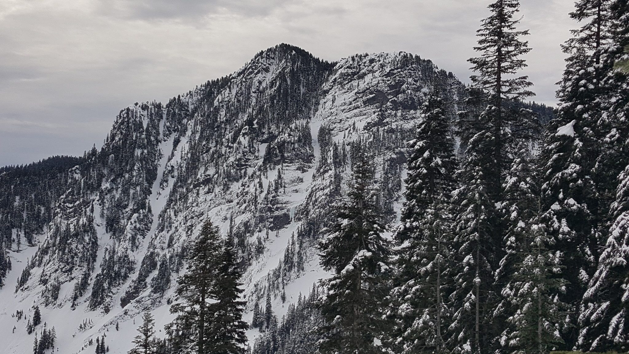 Mount Kent — The Mountaineers