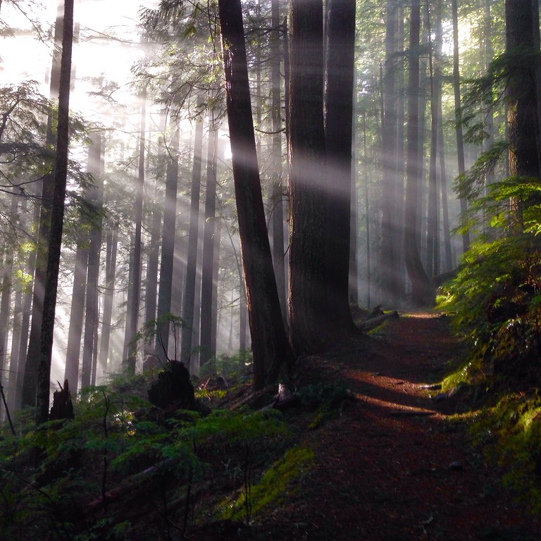 Gothic Basin — The Mountaineers