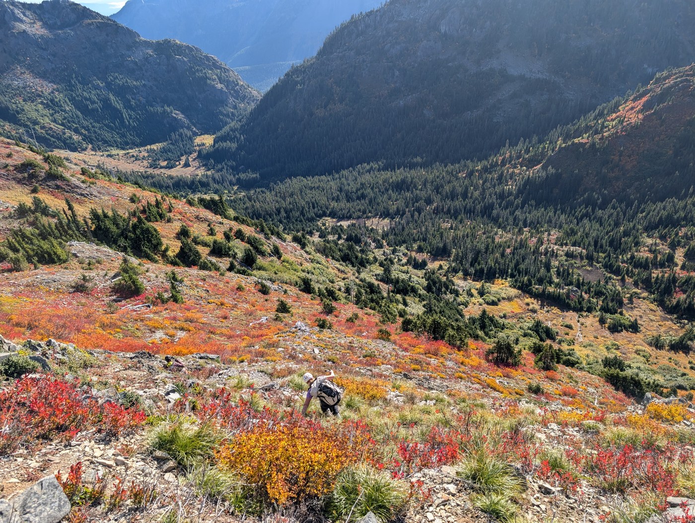 image-1400-b7431b262a95e0b4732e6f63e24843e6.jpeg — The Mountaineers