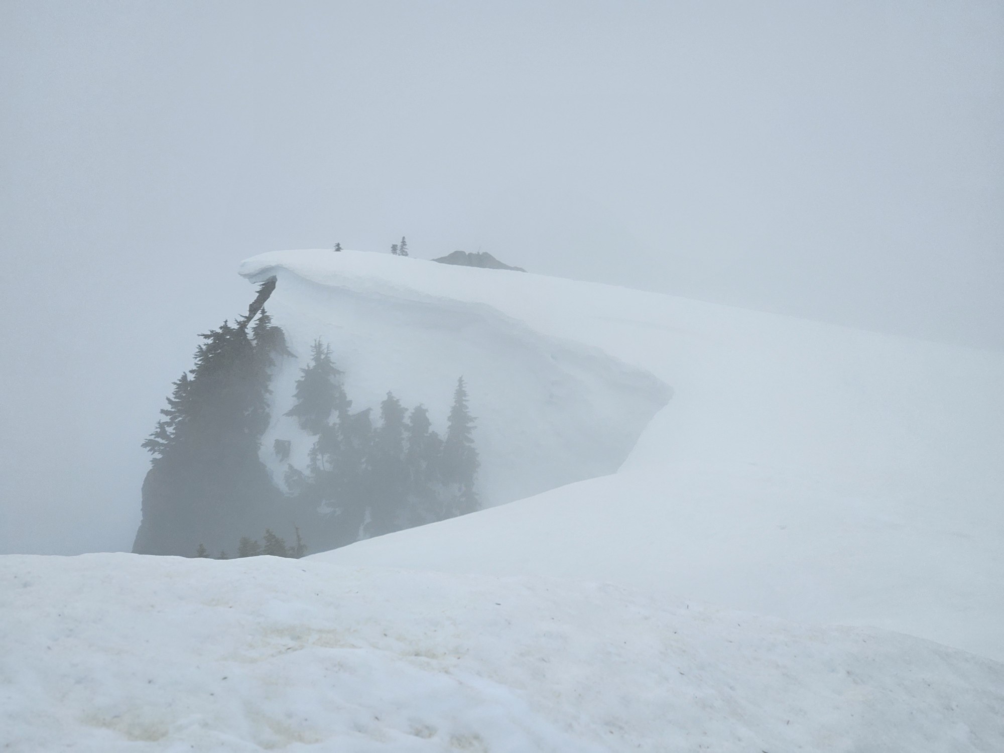 20250513_123458.jpg — The Mountaineers