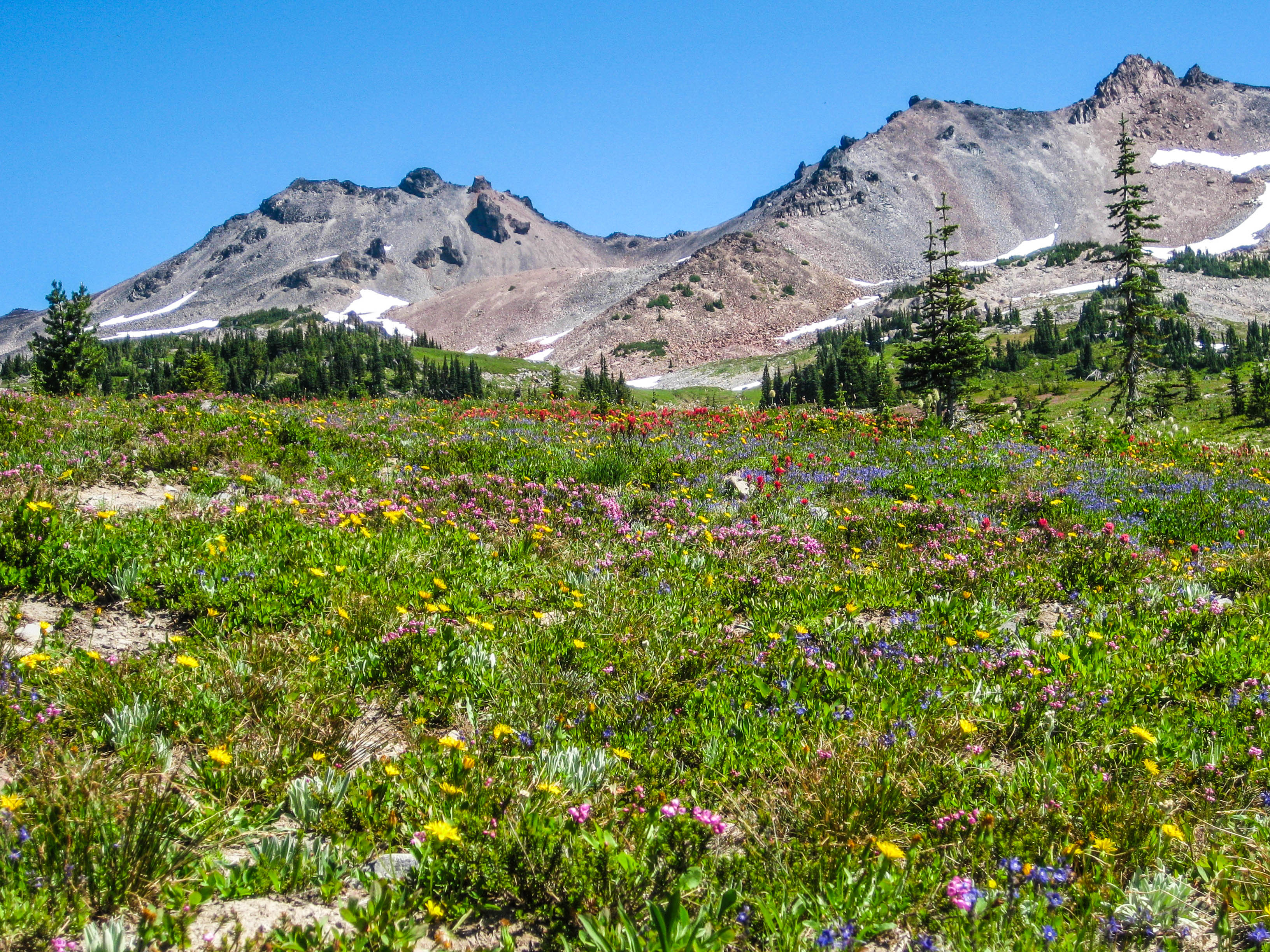 Snowgrass Flat & Goat Lake Basin — The Mountaineers