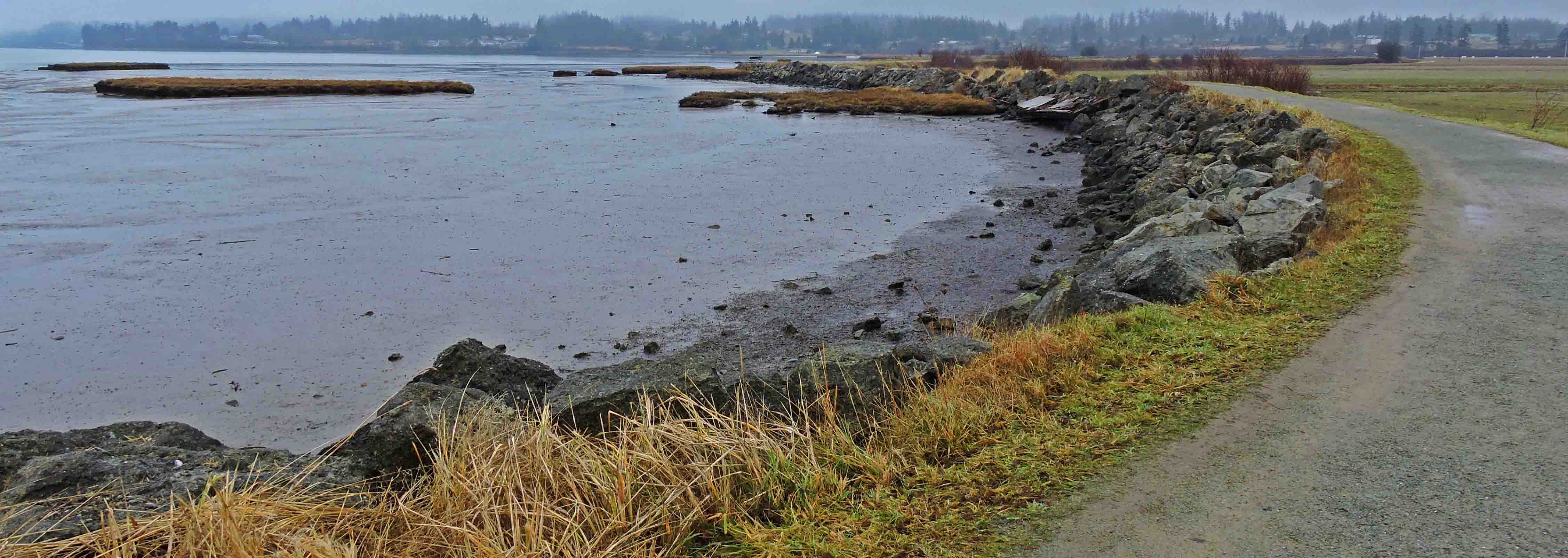 Padilla Bay — The Mountaineers