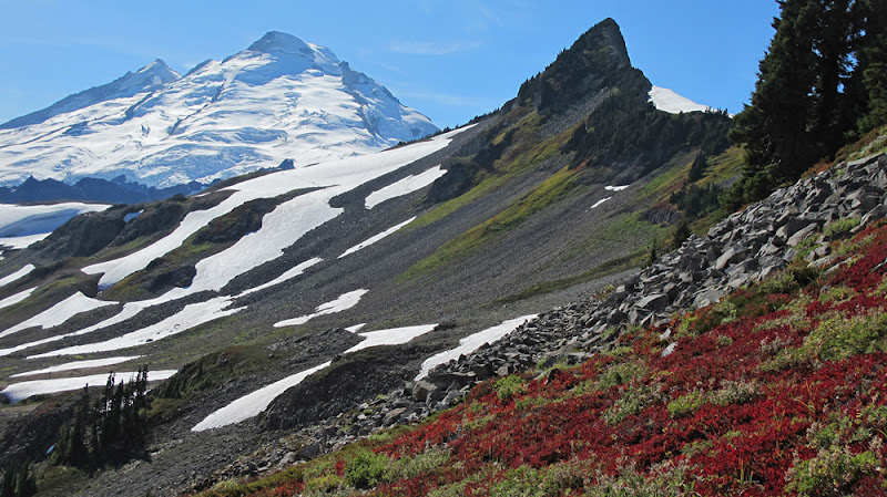 Ptarmigan Ridge — The Mountaineers