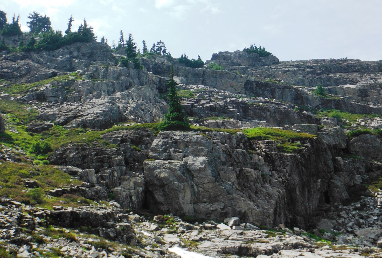 Rampart Ridge & Alta Mountain — The Mountaineers