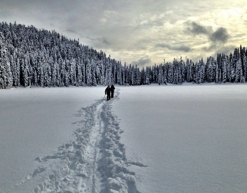 Snoqualmie Pass to Stampede Pass: The Patrol Race Traverse — The ...
