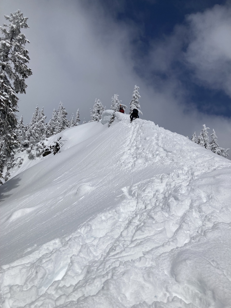 IMG_6021.jpeg — The Mountaineers