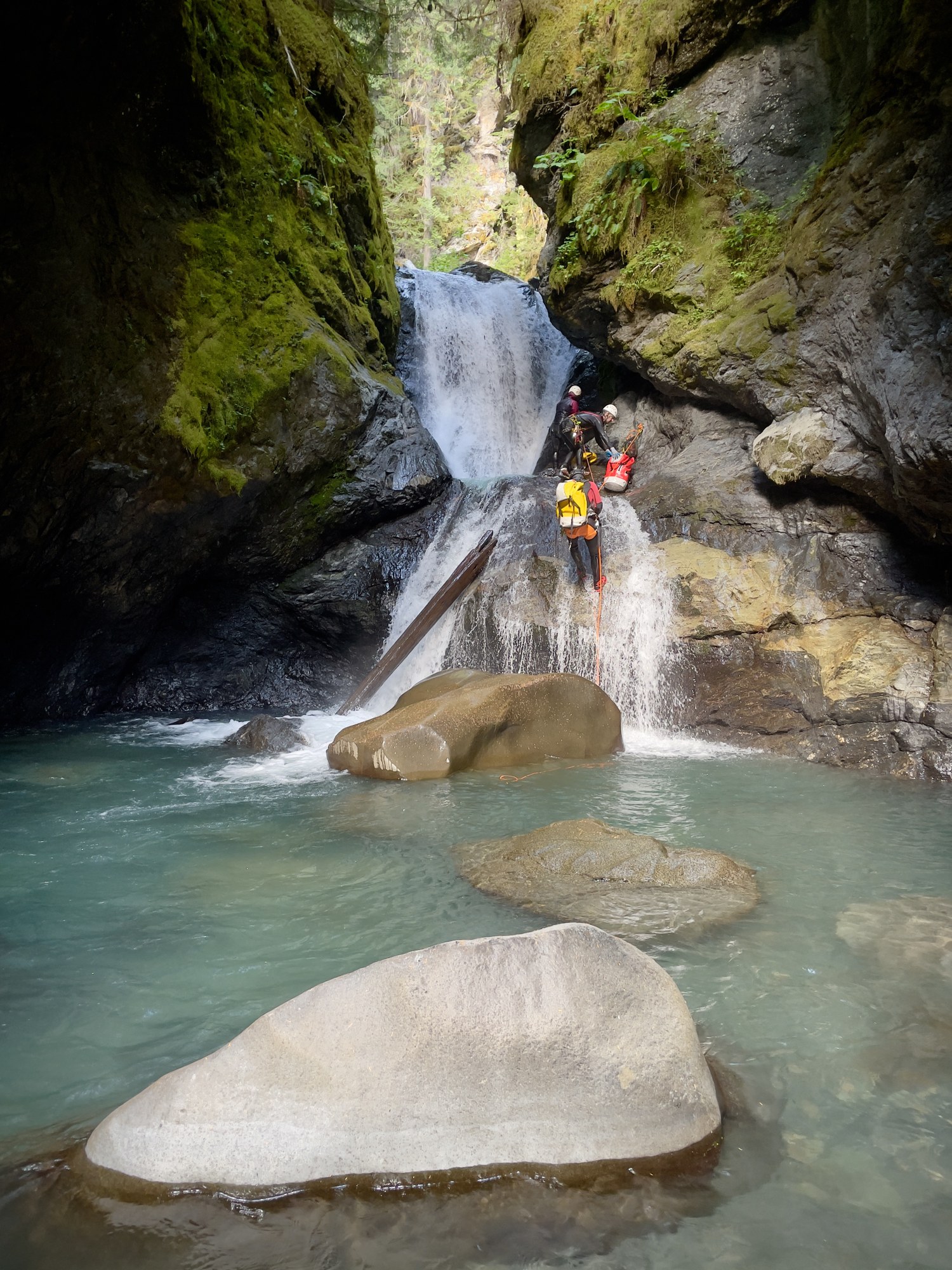 Swamp Creek — The Mountaineers