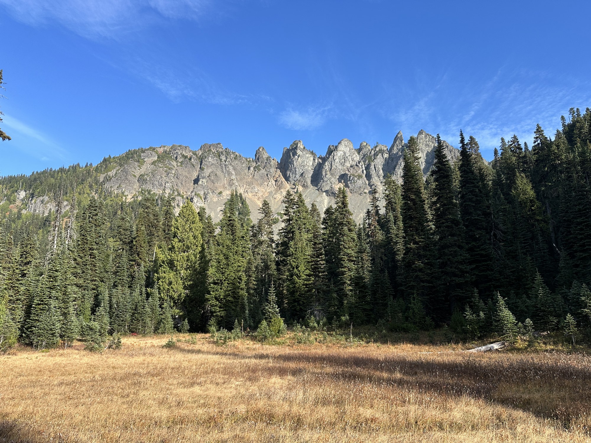 IMG_8141.jpeg — The Mountaineers