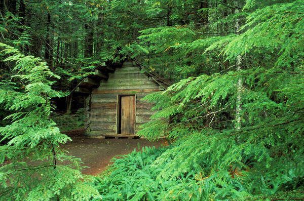 Trail of the Shadows — The Mountaineers