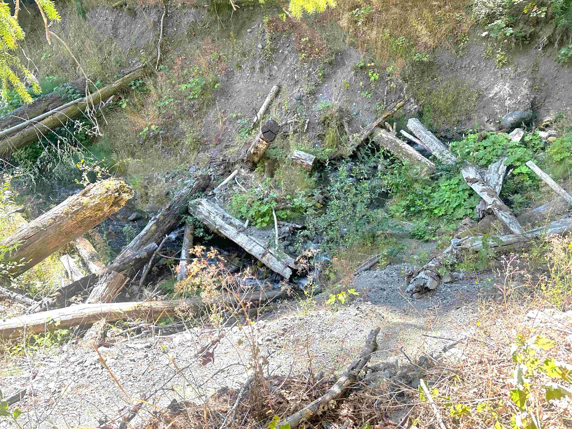 SmokyBottom turnaround(sm).jpg — The Mountaineers