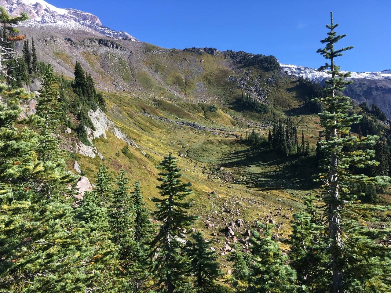 Wilson Park — The Mountaineers