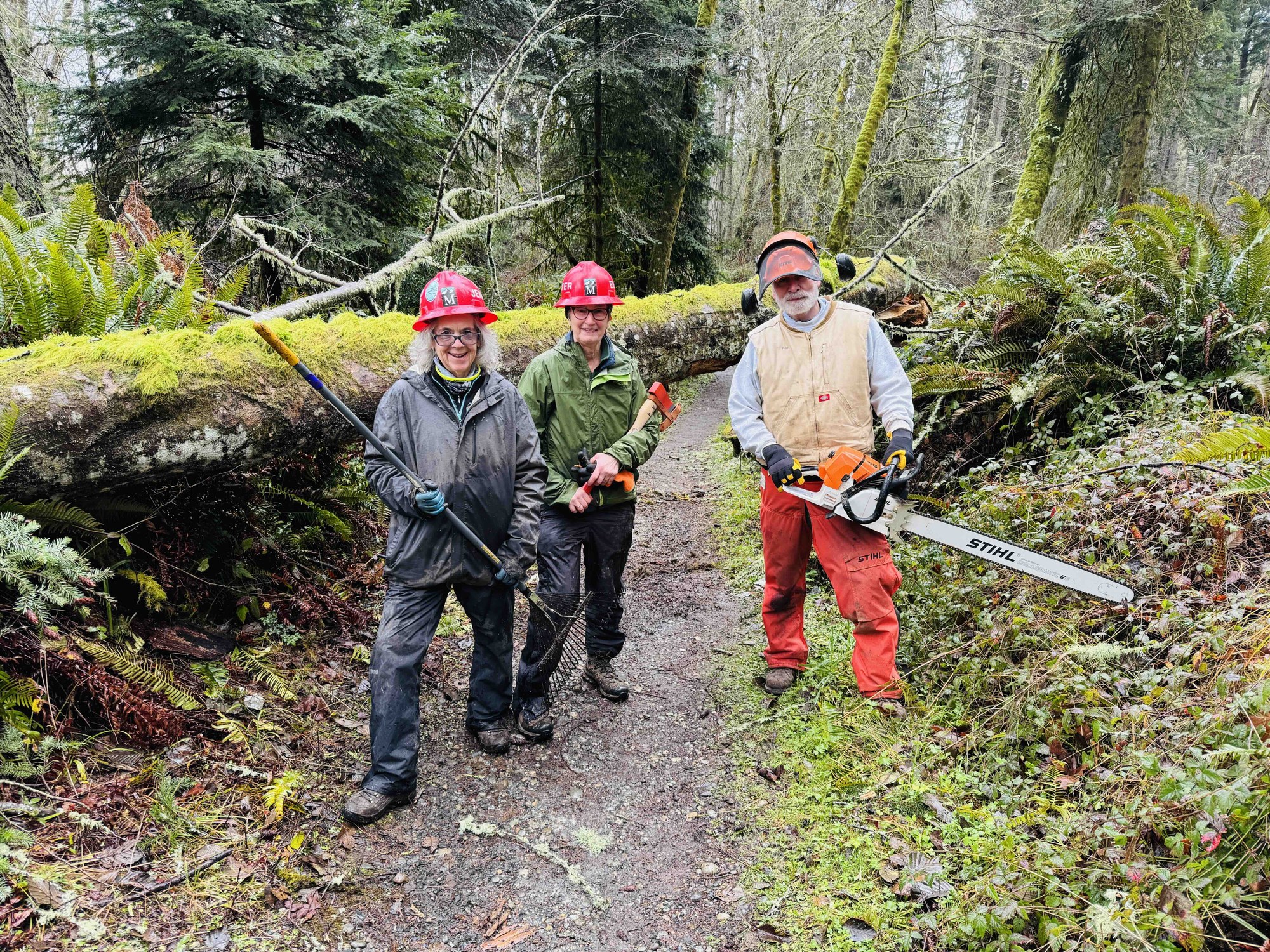 Chainsaw team at tree across trail.jpeg — The Mountaineers
