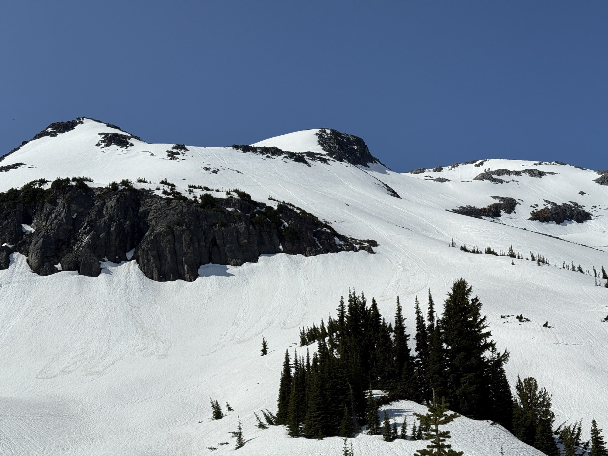 Alpine Scramble - Meany Crest — The Mountaineers