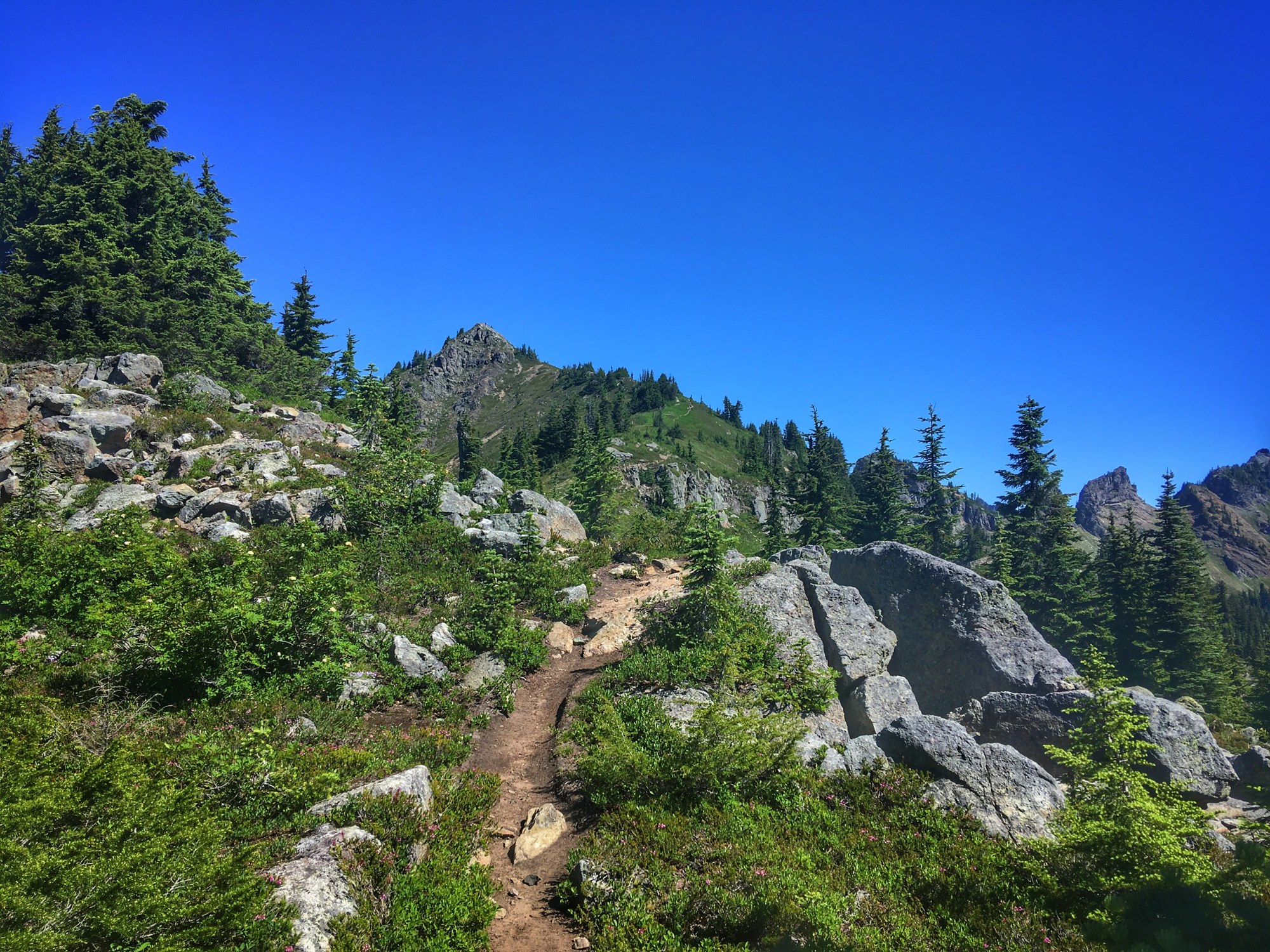 Alpine Scramble - Rampart Ridge & Alta Mountain — The Mountaineers