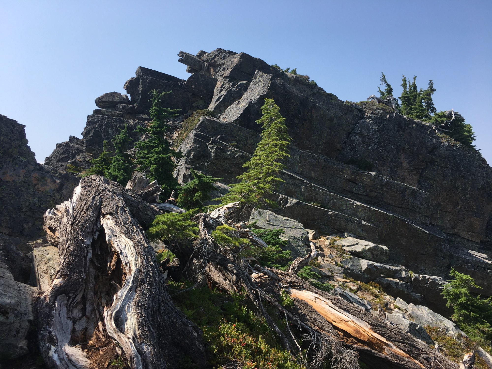 Alpine Scramble - Rampart Ridge (Snoqualmie) — The Mountaineers