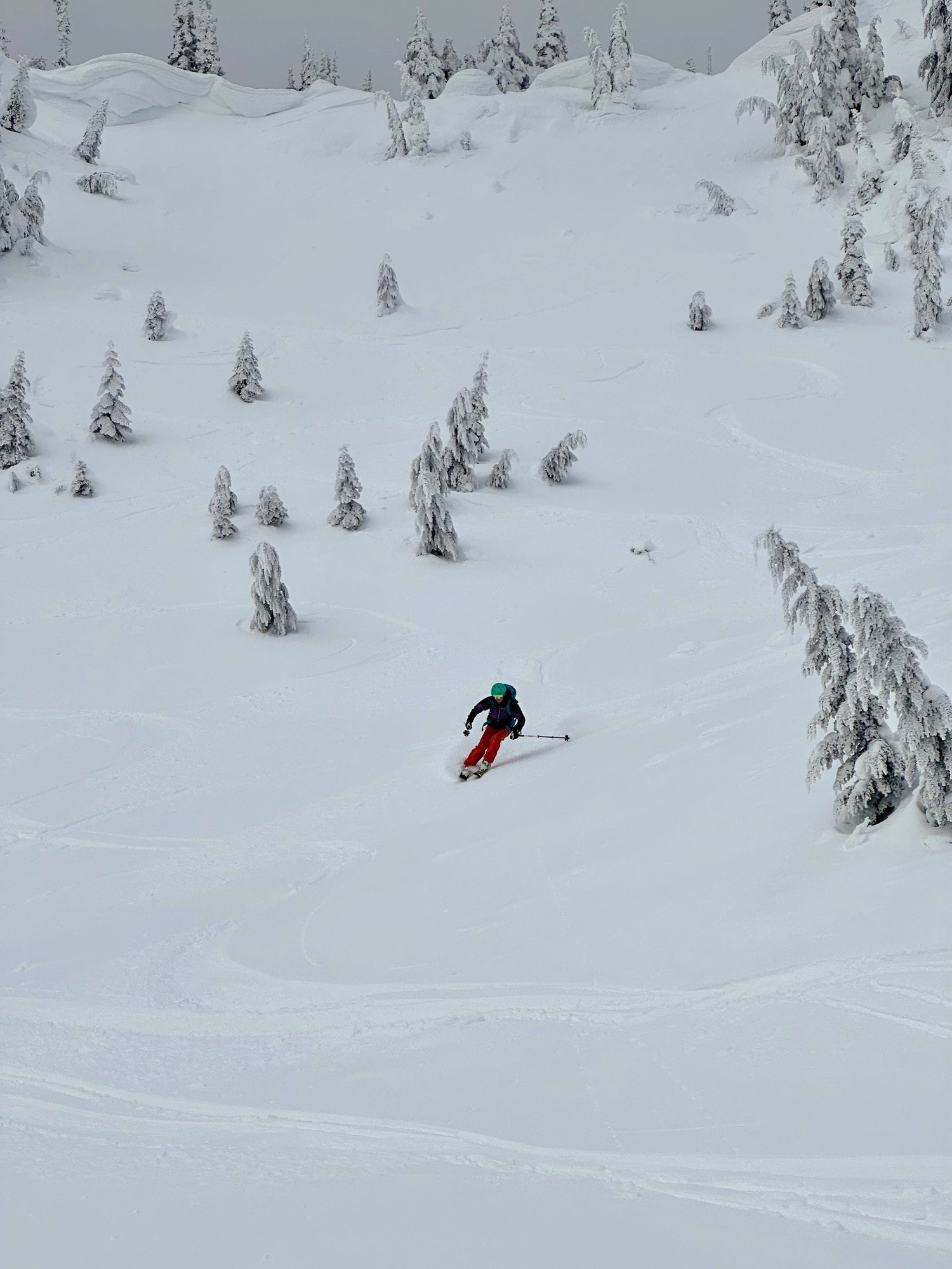 Backcountry Ski/Snowboard - Crystal Mountain Backcountry / Bear Gap — The Mountaineers