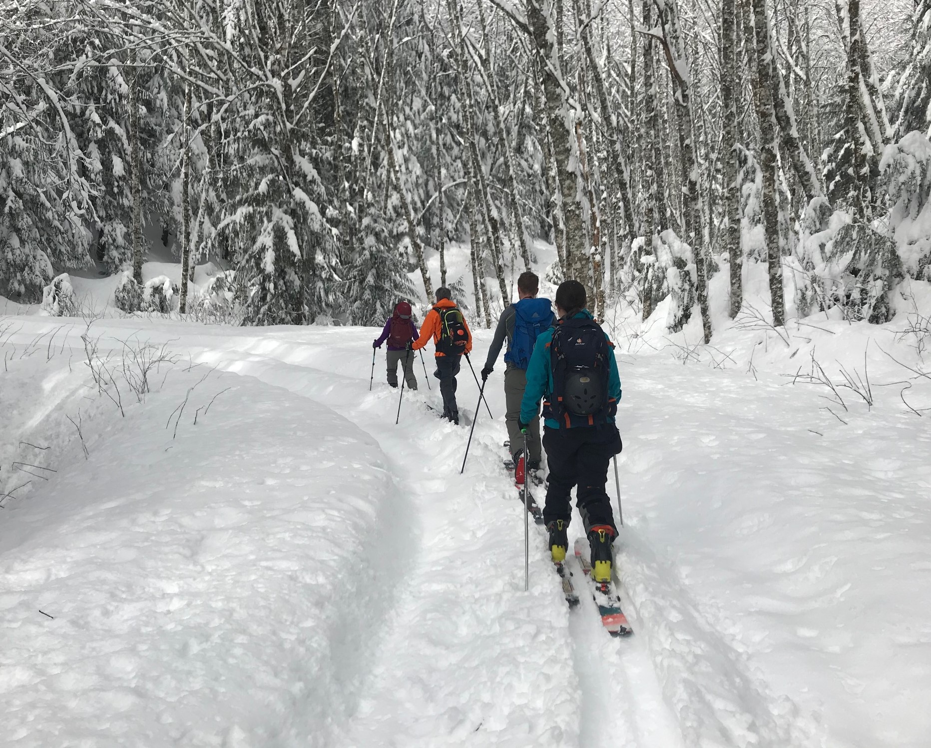 Backcountry Ski/Snowboard - Rat Trap Pass — The Mountaineers
