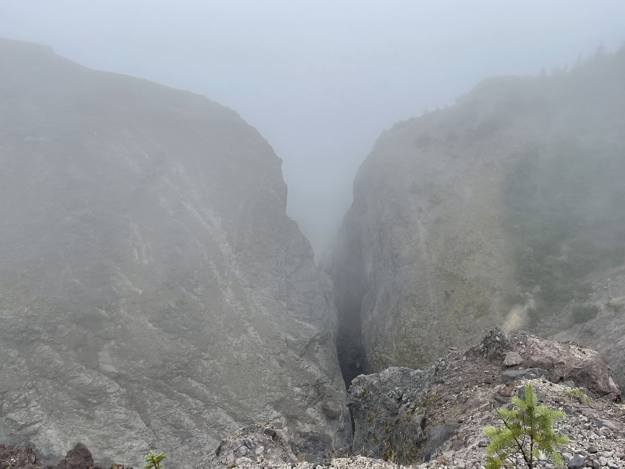 Backcountry Trail Run - Ape Canyon — The Mountaineers