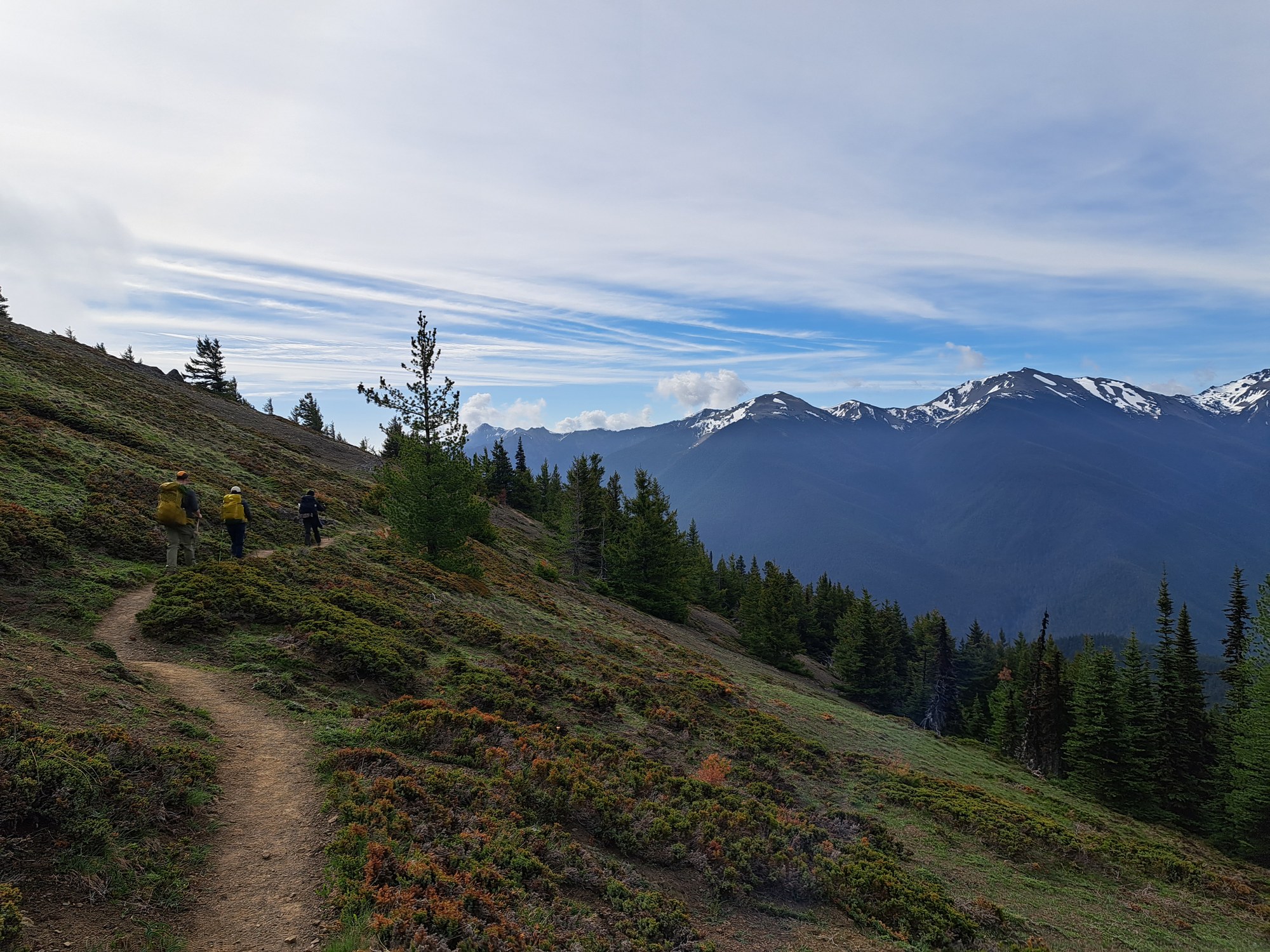 Basic Backpacking Field Trip - Deer Park via Deer Ridge — The Mountaineers