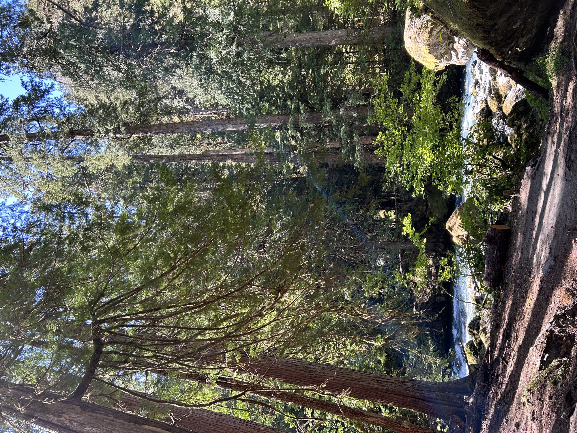 Basic Backpacking Field Trip Duckabush River The Mountaineers