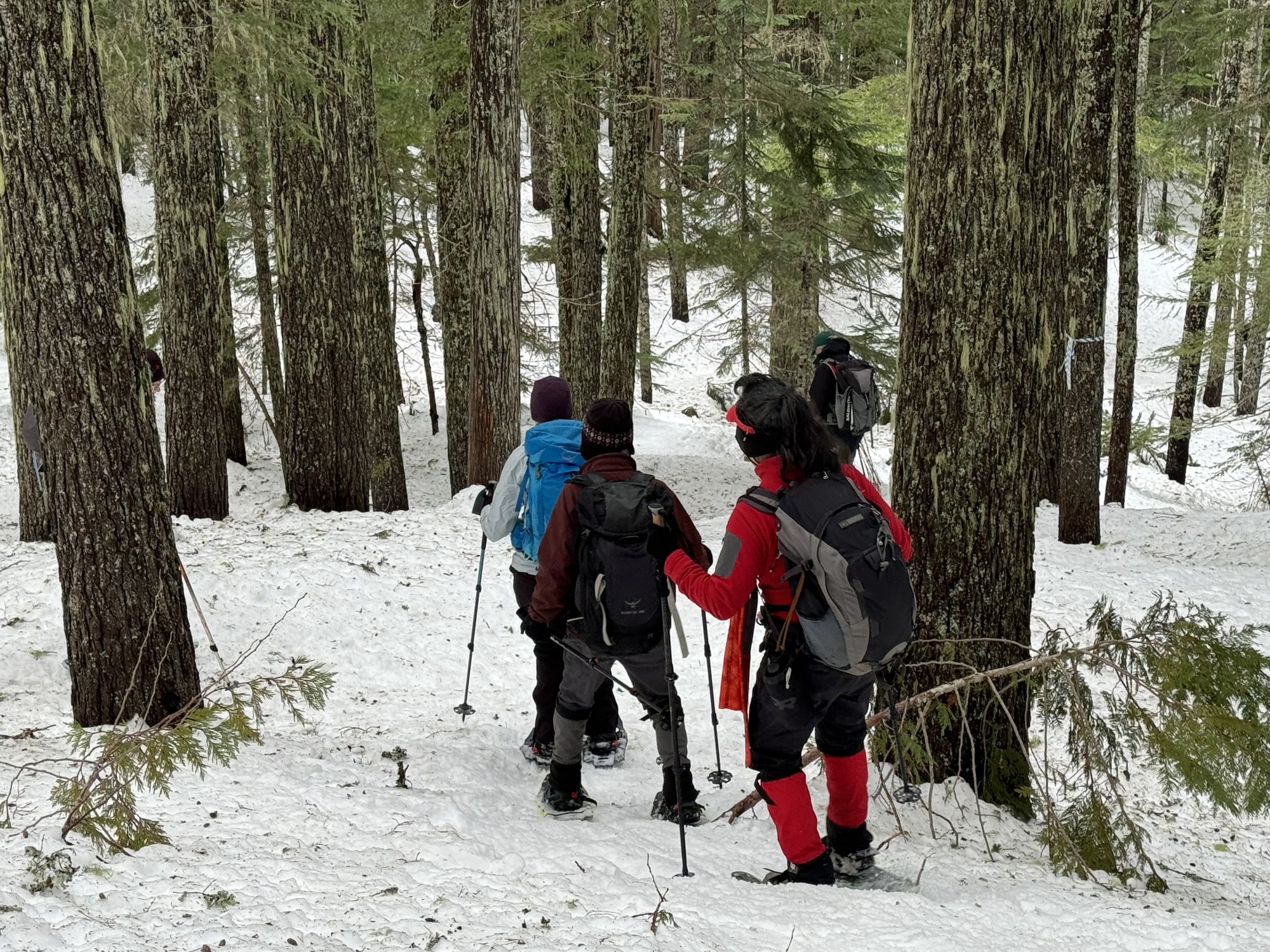 Basic Snowshoe - Lanham Lake & Sam Hill Peak — The Mountaineers