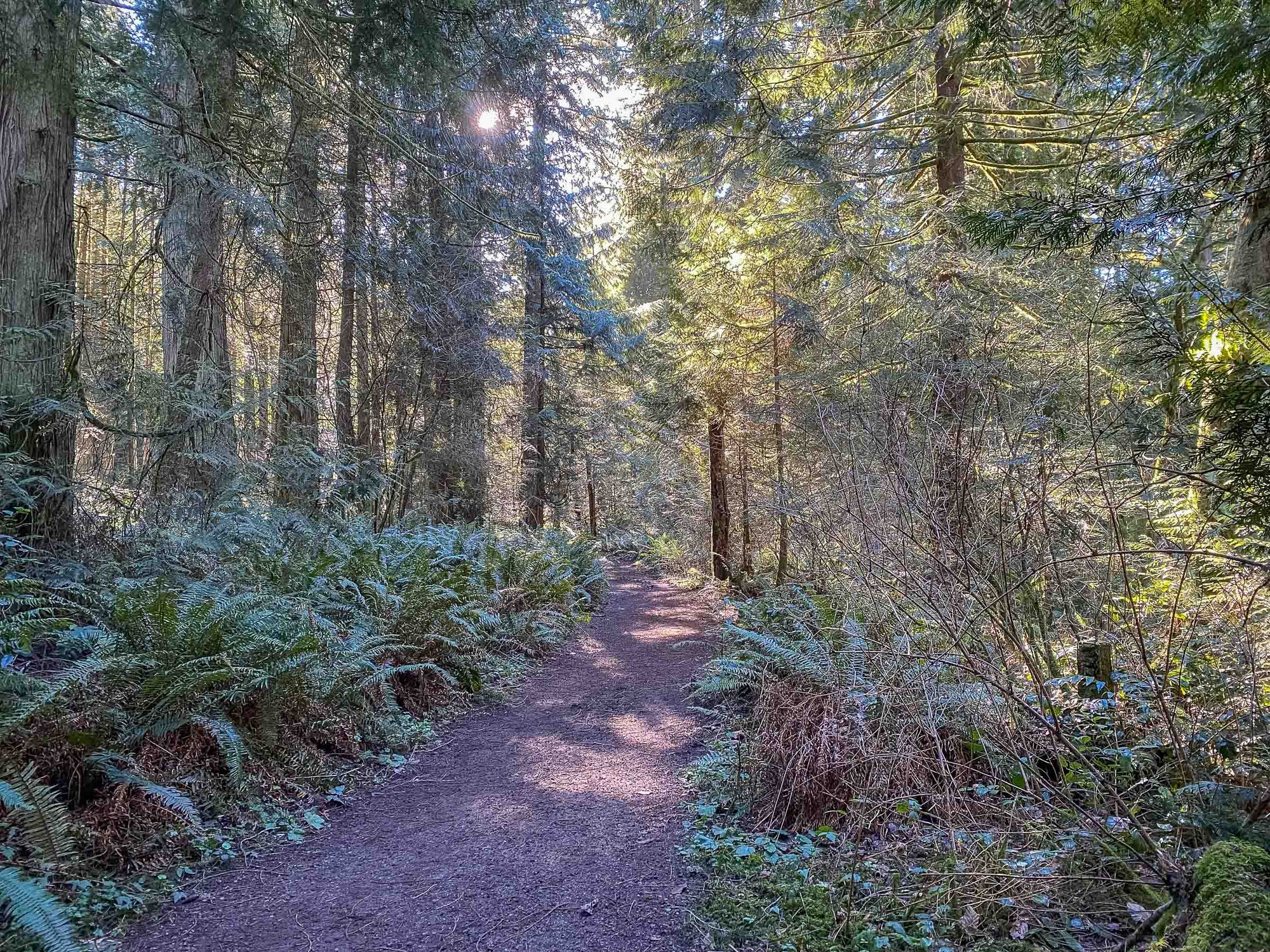 Bridle Trails State Park — The Mountaineers