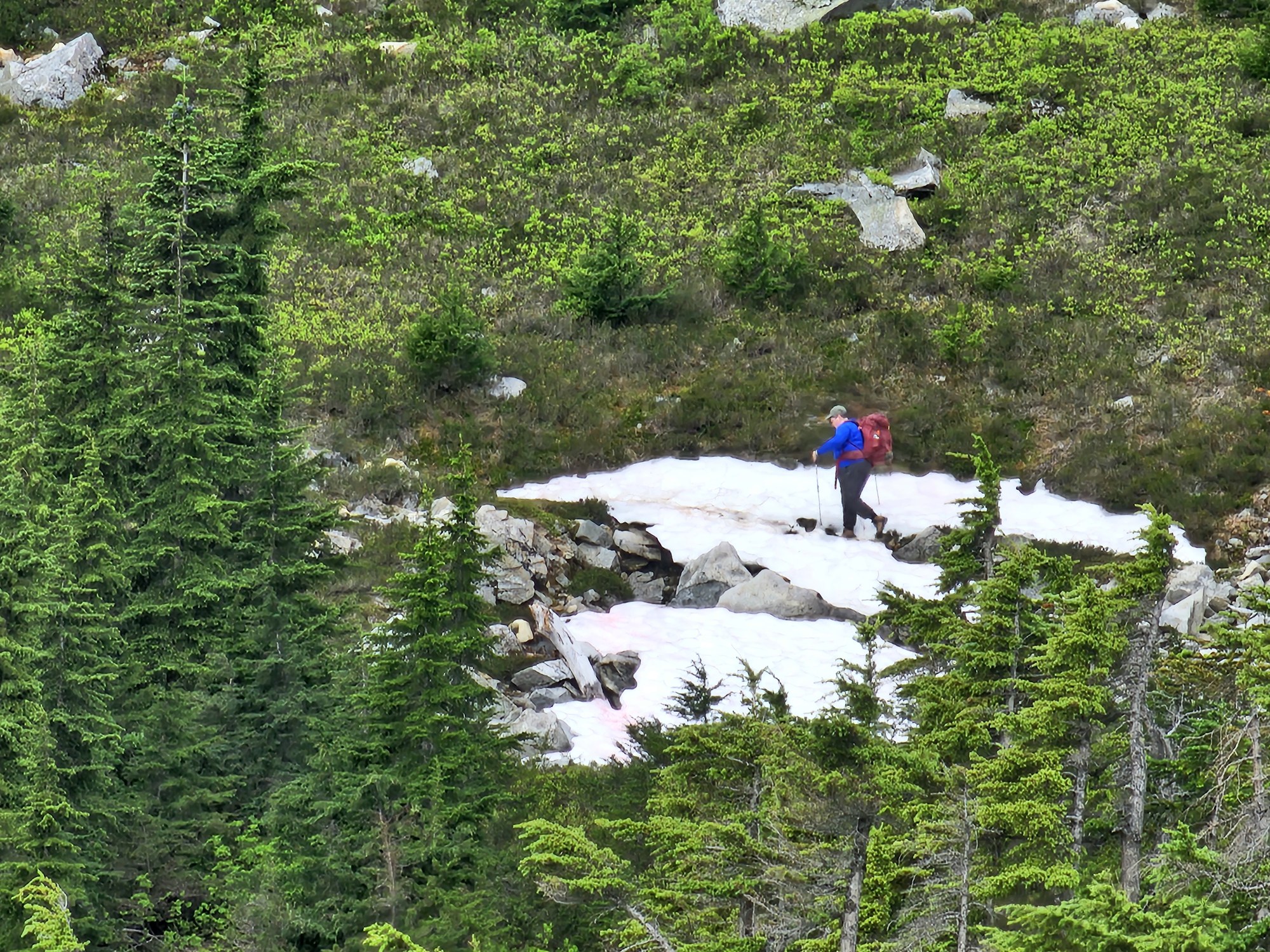 Cascade Pass & Sahale Arm — The Mountaineers