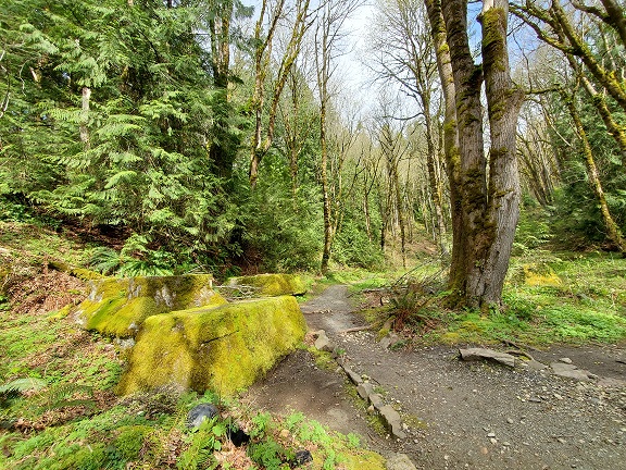 CHS 1 Hike - Grand Ridge Park: Coal Mine Loop — The Mountaineers