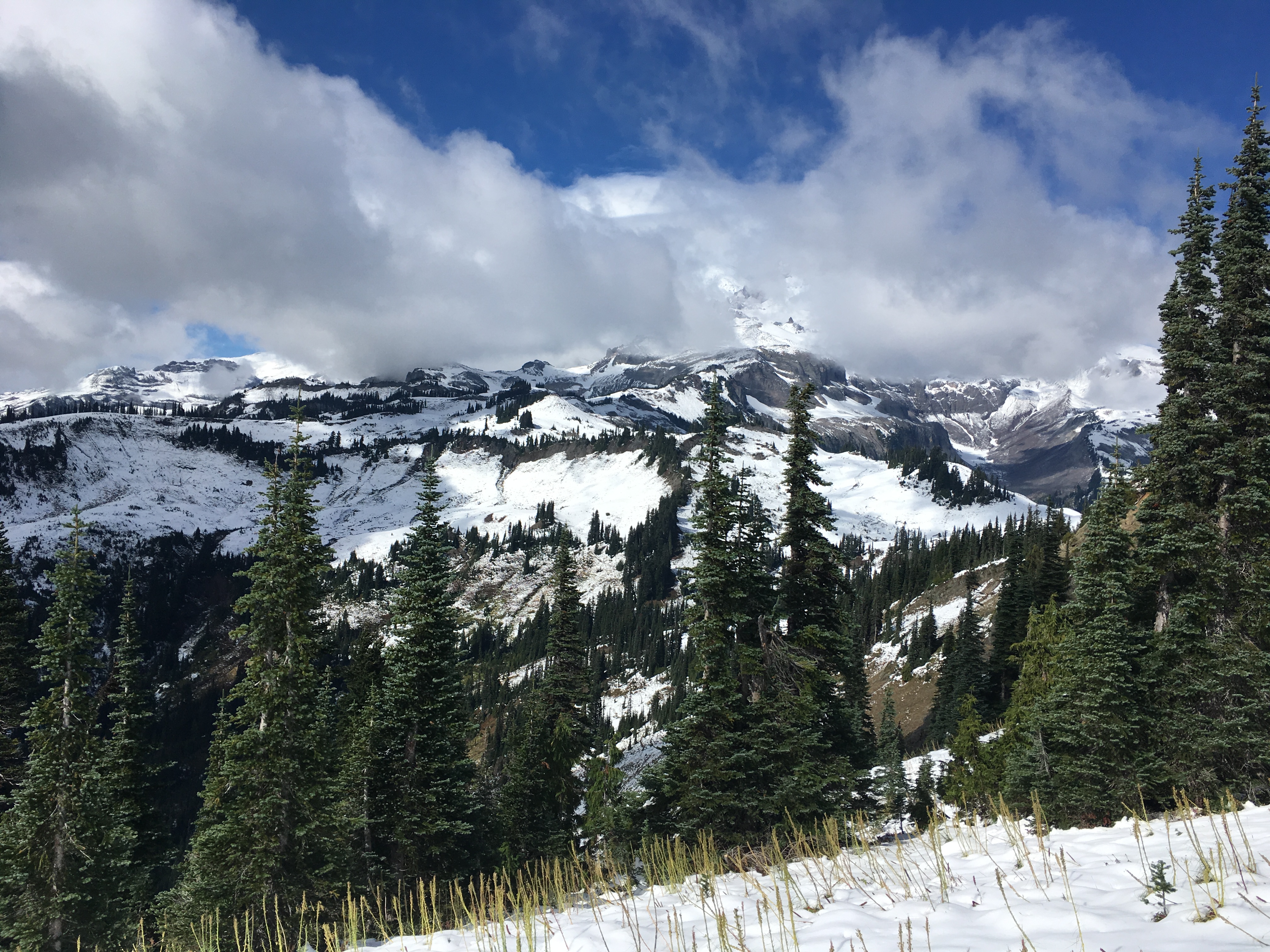 CHS 1 Hike - Indian Bar-Cowlitz Divide — The Mountaineers