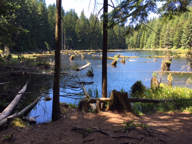 CHS 1 Hike - Lily & Lizard Lakes — The Mountaineers