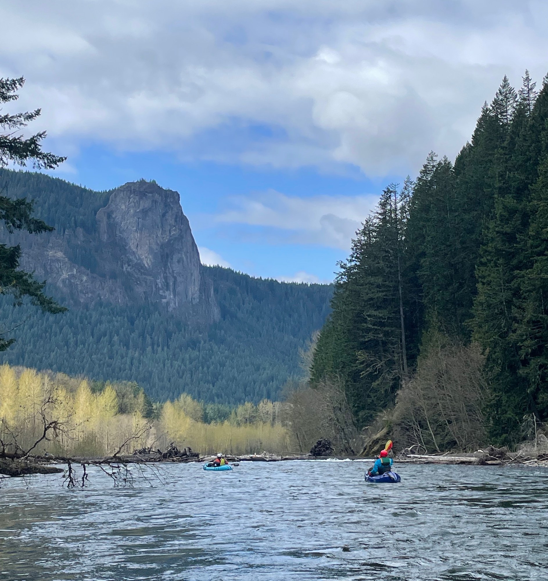 Cispus River: Twin Cedars to Lake Scanewa — The Mountaineers