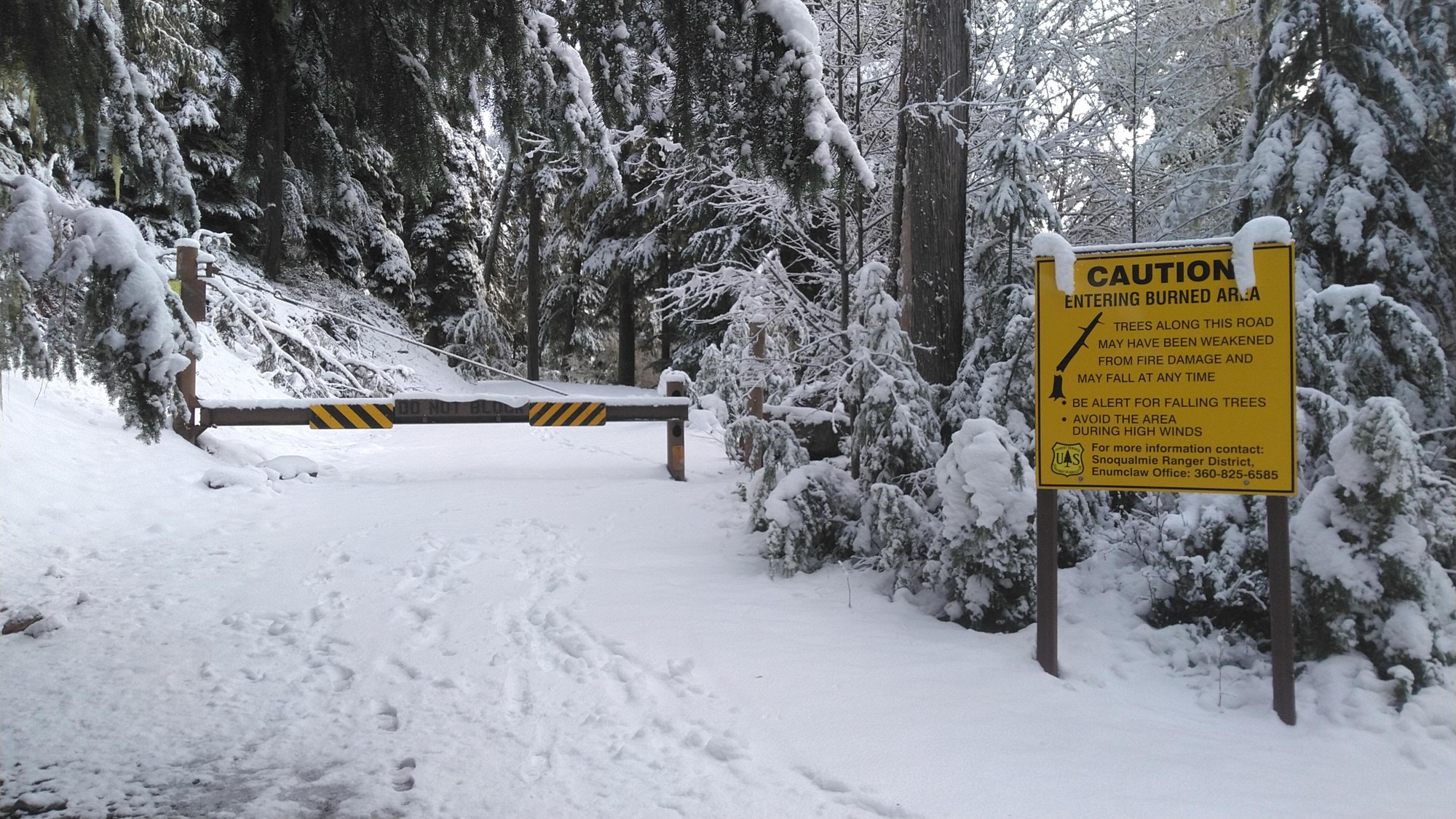 Corral Pass Road Hwy 410 to Corral Pass — The Mountaineers