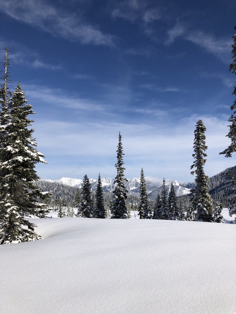 Cross-country Ski - Mount Catherine Loop (winter) — The Mountaineers