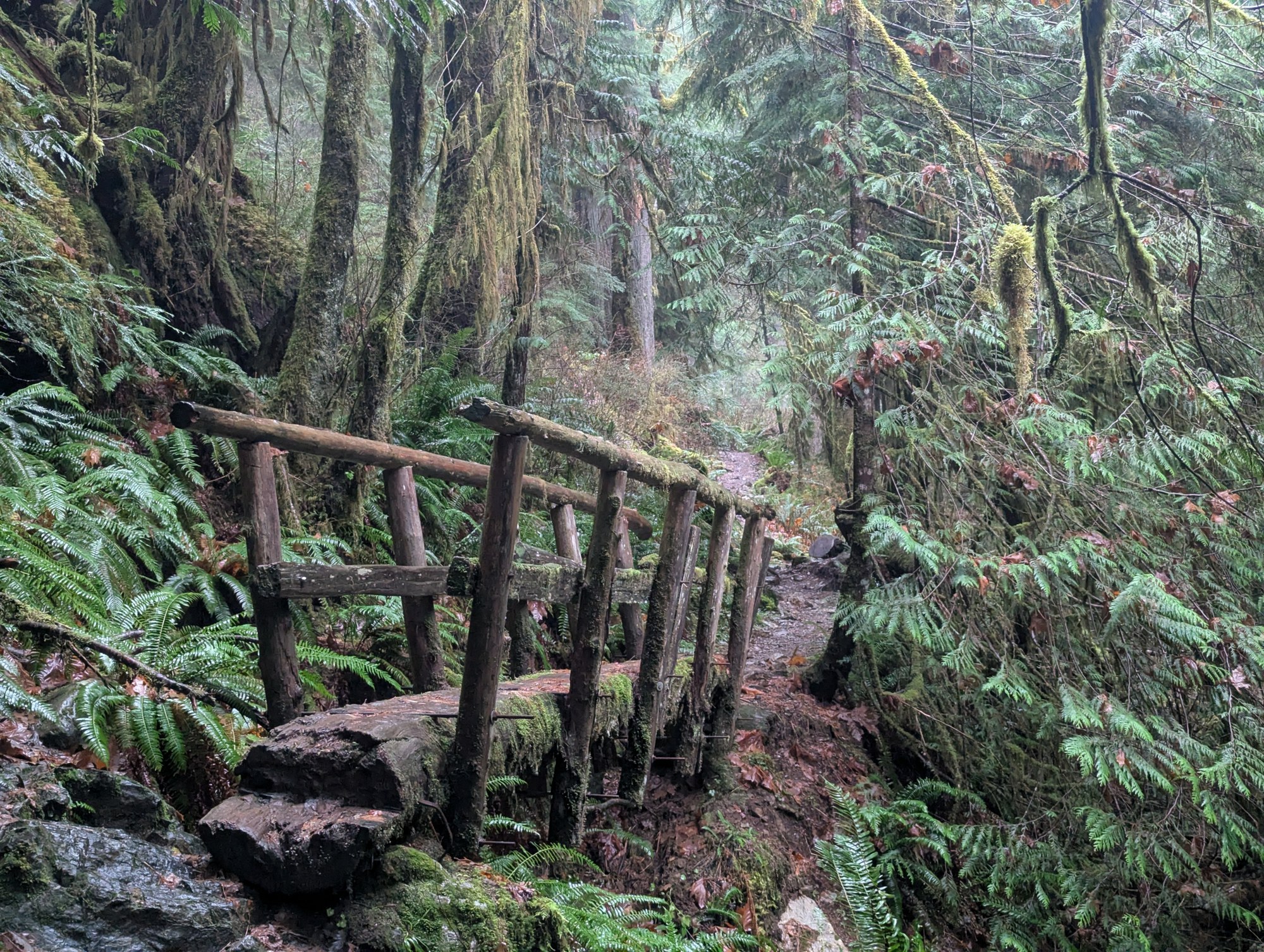 Day Hike - Boulder River — The Mountaineers