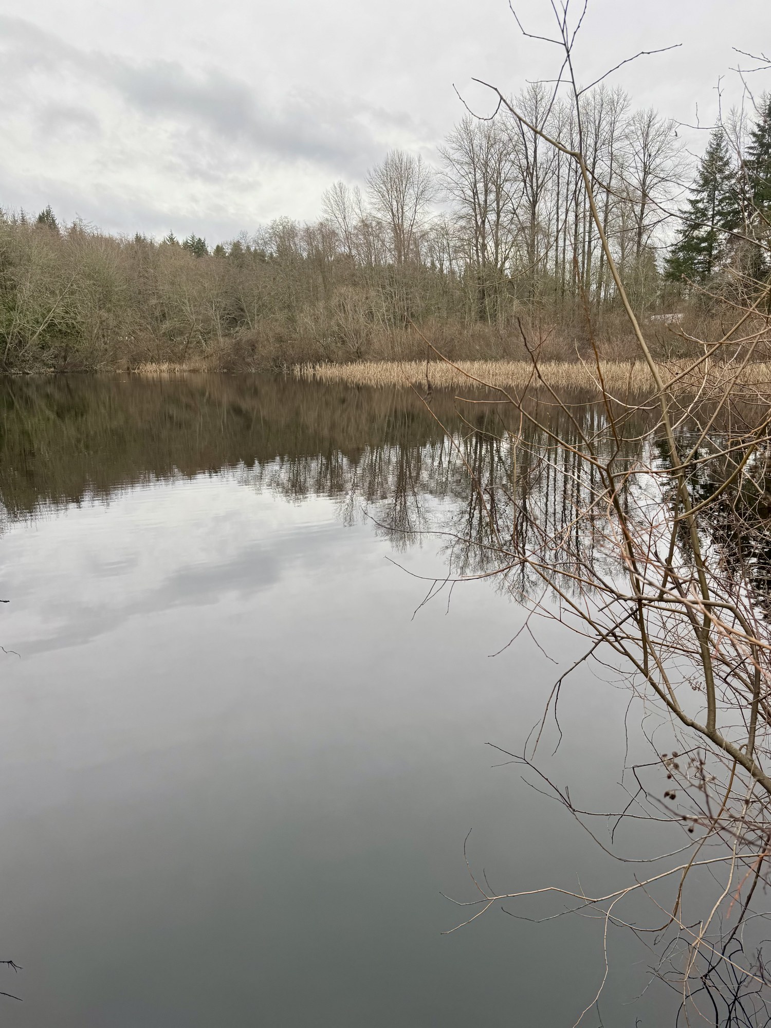Day Hike - Chehalis Western Trail — The Mountaineers