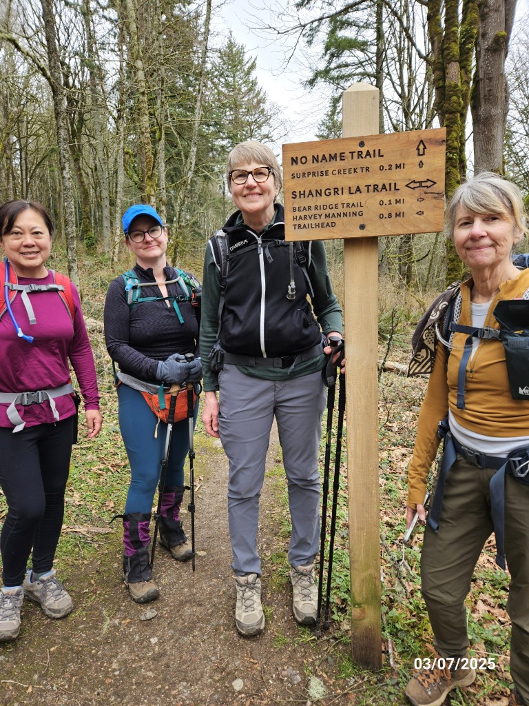 Day Hike - Cougar Mountain: Big Tree Ridge — The Mountaineers