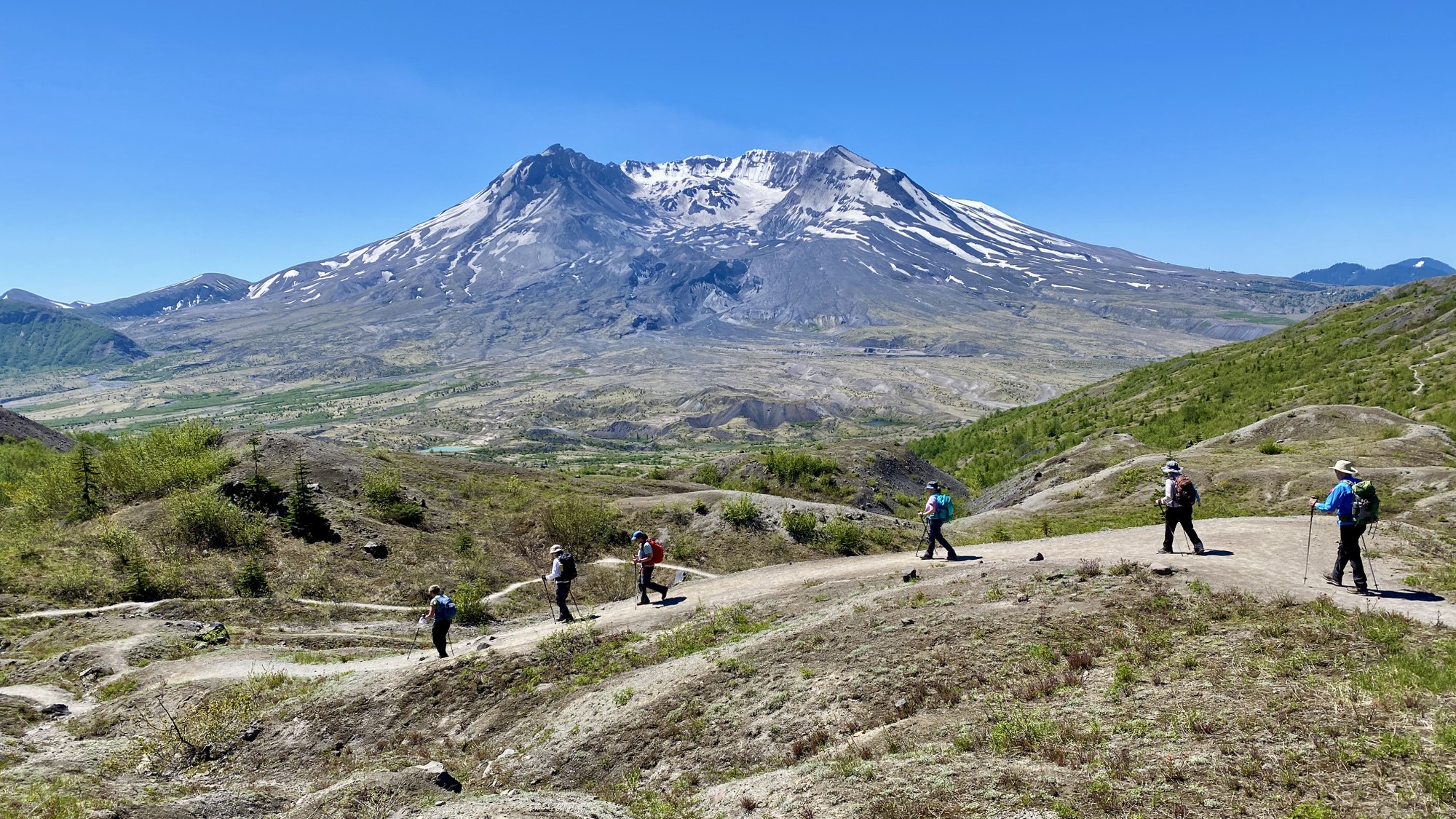 Day Hike - Harry's Ridge — The Mountaineers