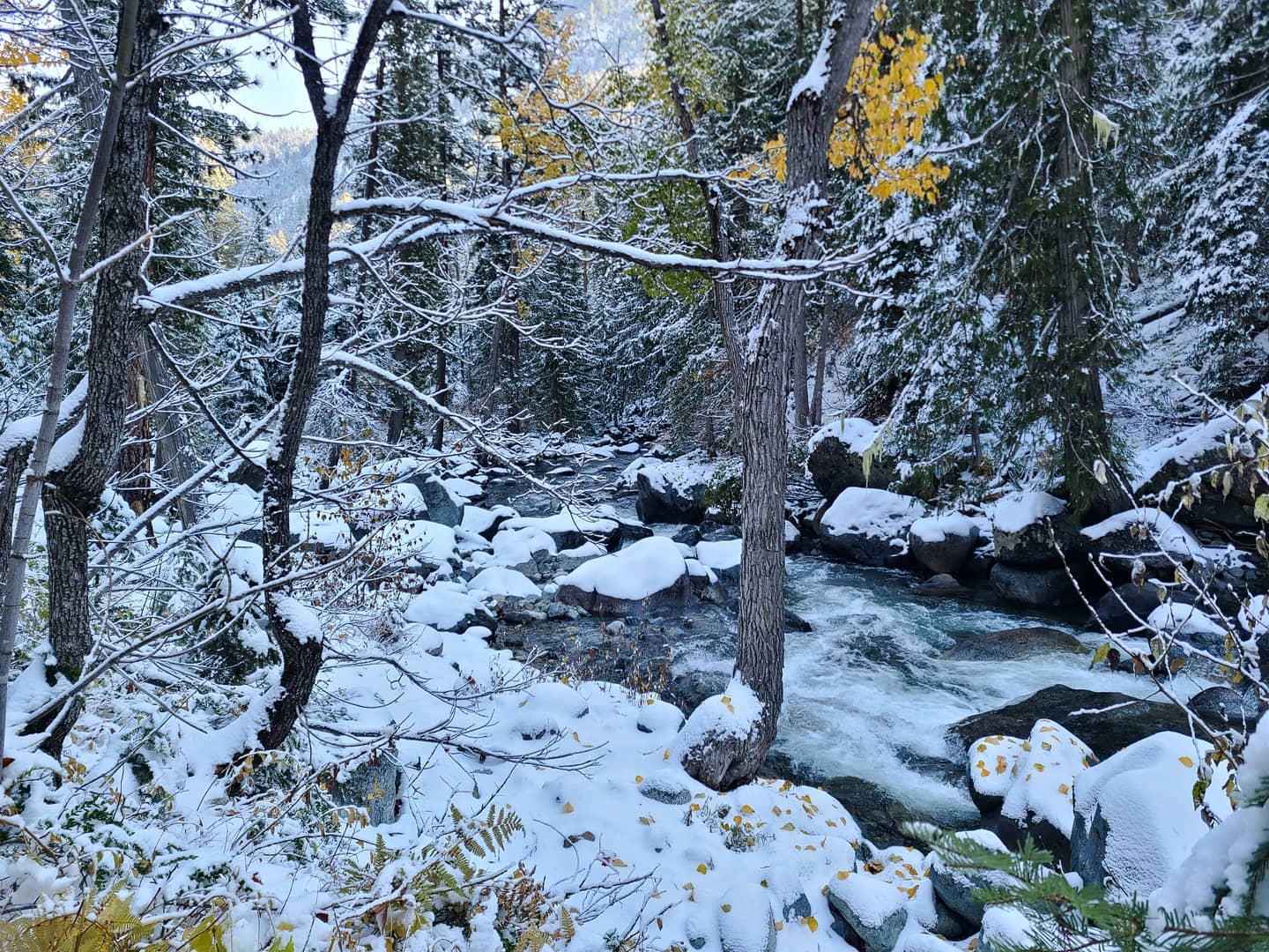 Day Hike - Ingalls Creek — The Mountaineers