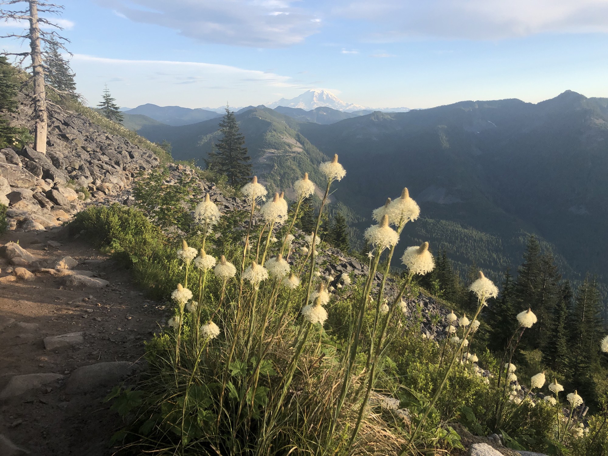 Day Hike - Ira Spring Trail — The Mountaineers