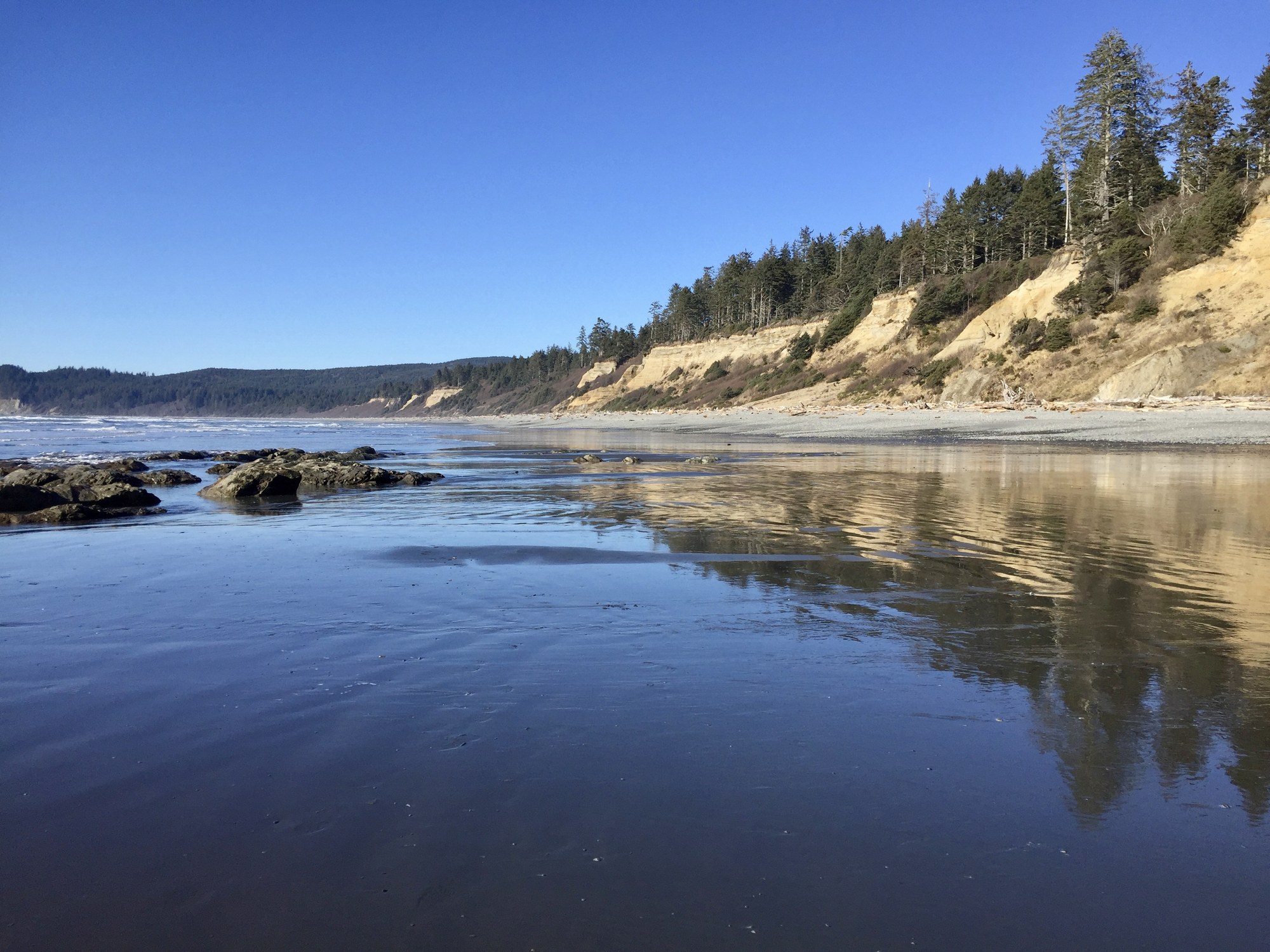 Day Hike - Kalaloch Beaches and Ruby Beach to Hoh River — The Mountaineers