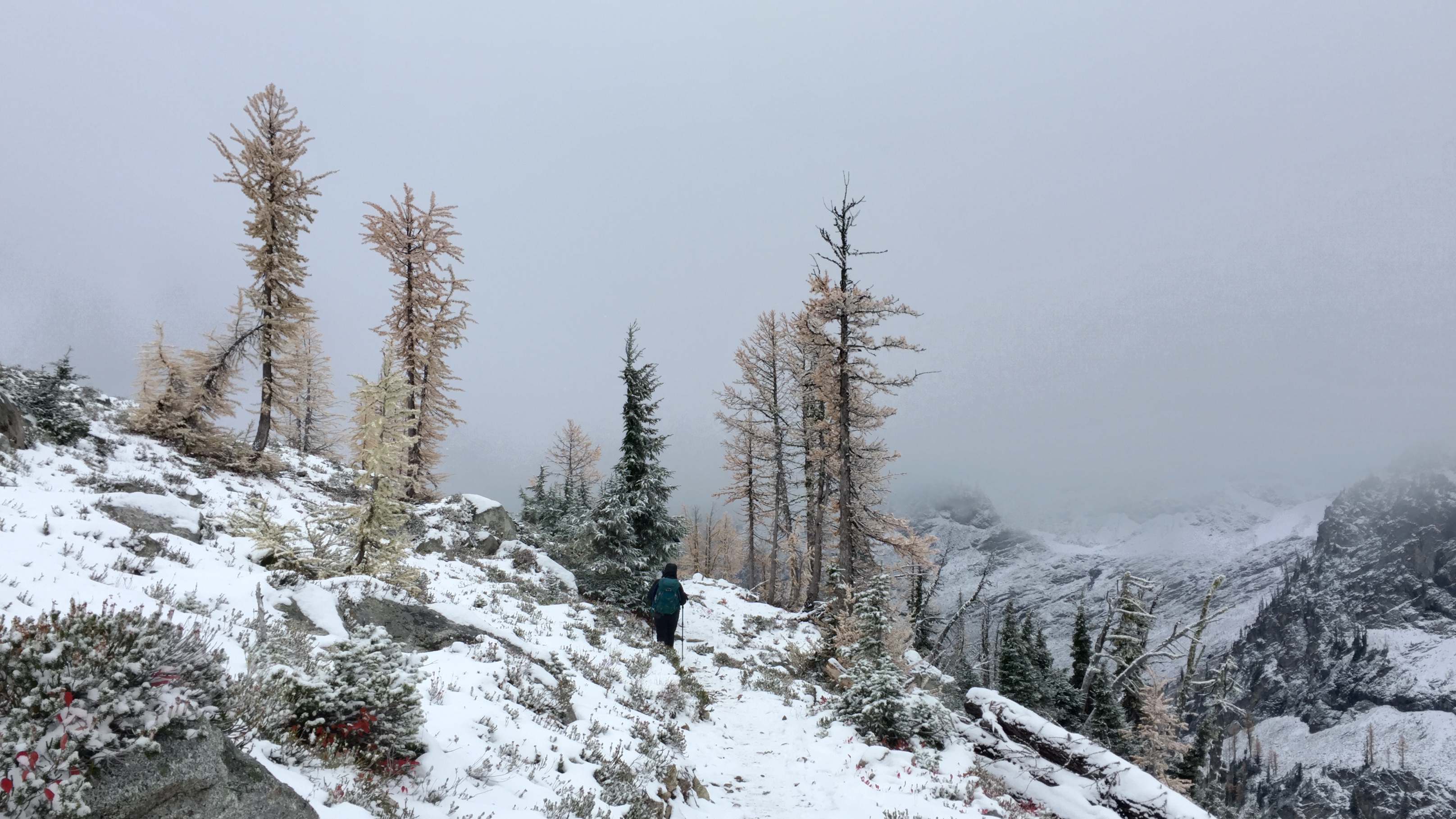 Day Hike - Maple Pass Loop — The Mountaineers