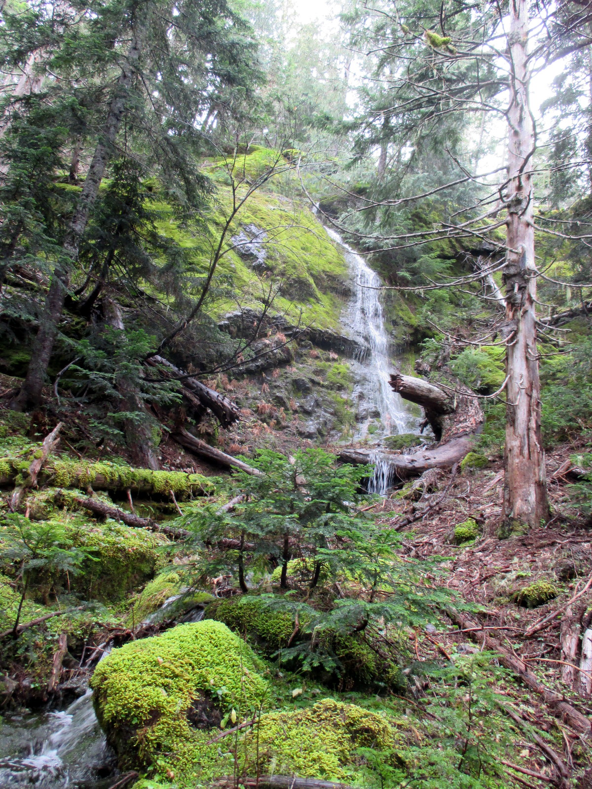Day Hike - Mount Rose — The Mountaineers