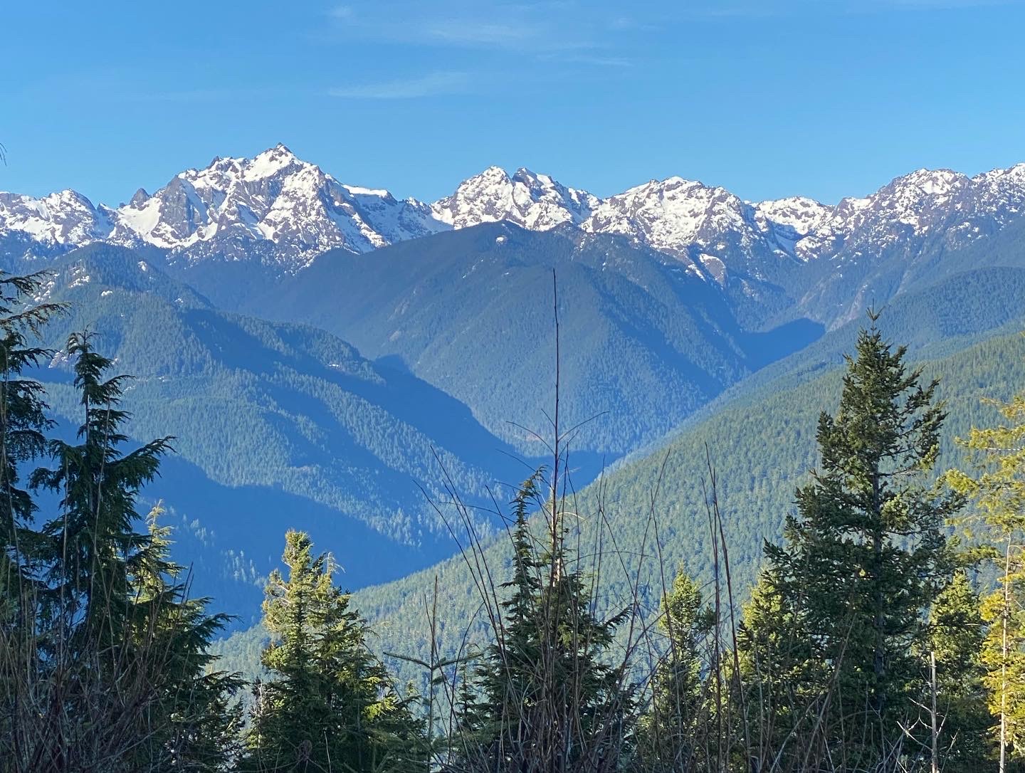 Day Hike - Mount Walker — The Mountaineers
