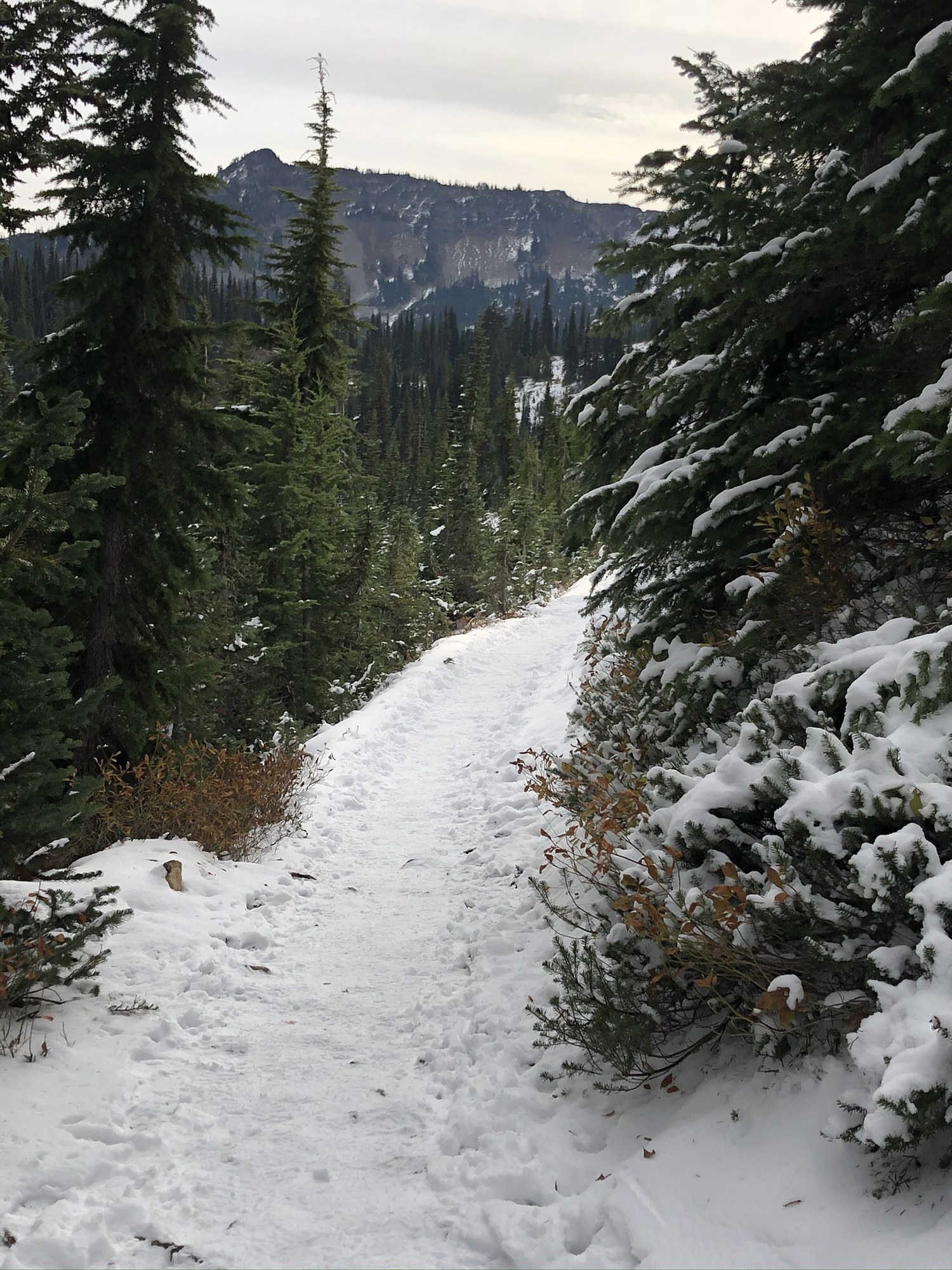 Day Hike - Naches Peak Loop — The Mountaineers