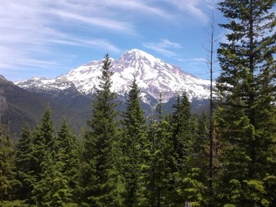 Day Hike - Rampart Ridge Loop (Mount Rainier) — The Mountaineers