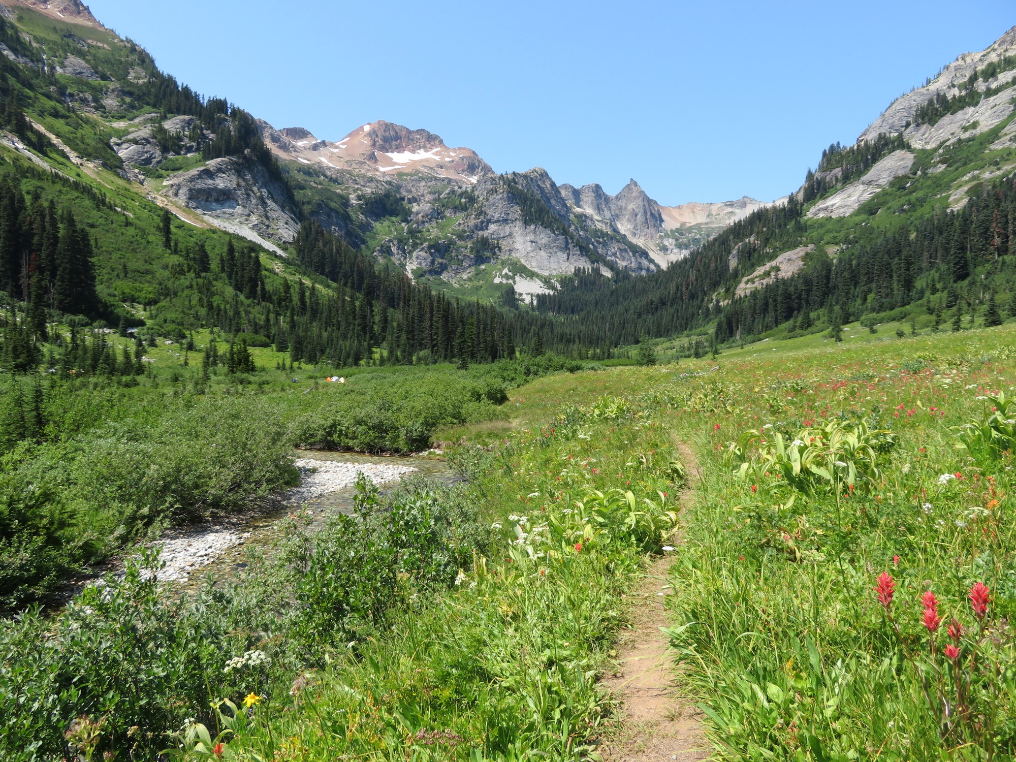 Day Hike - Spider Meadows — The Mountaineers