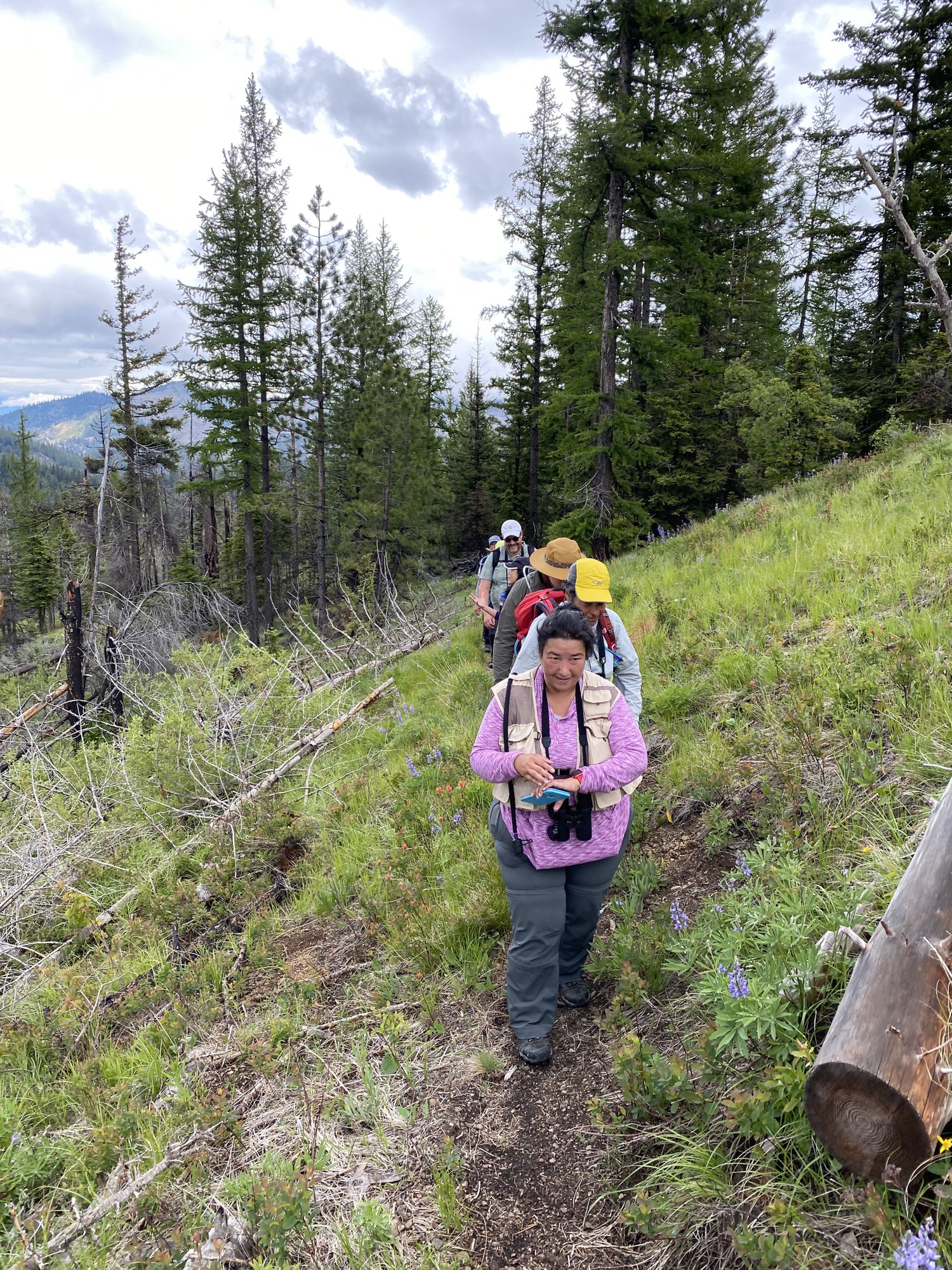 Day Hike - Swauk Forest Discovery Trail — The Mountaineers