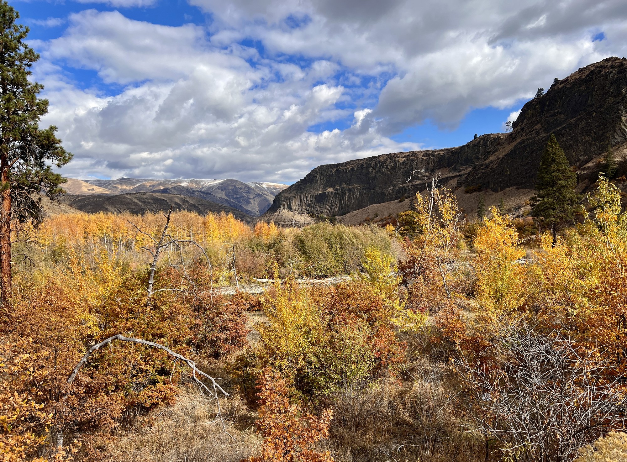 Day Hike - Tieton River Nature Trail — The Mountaineers