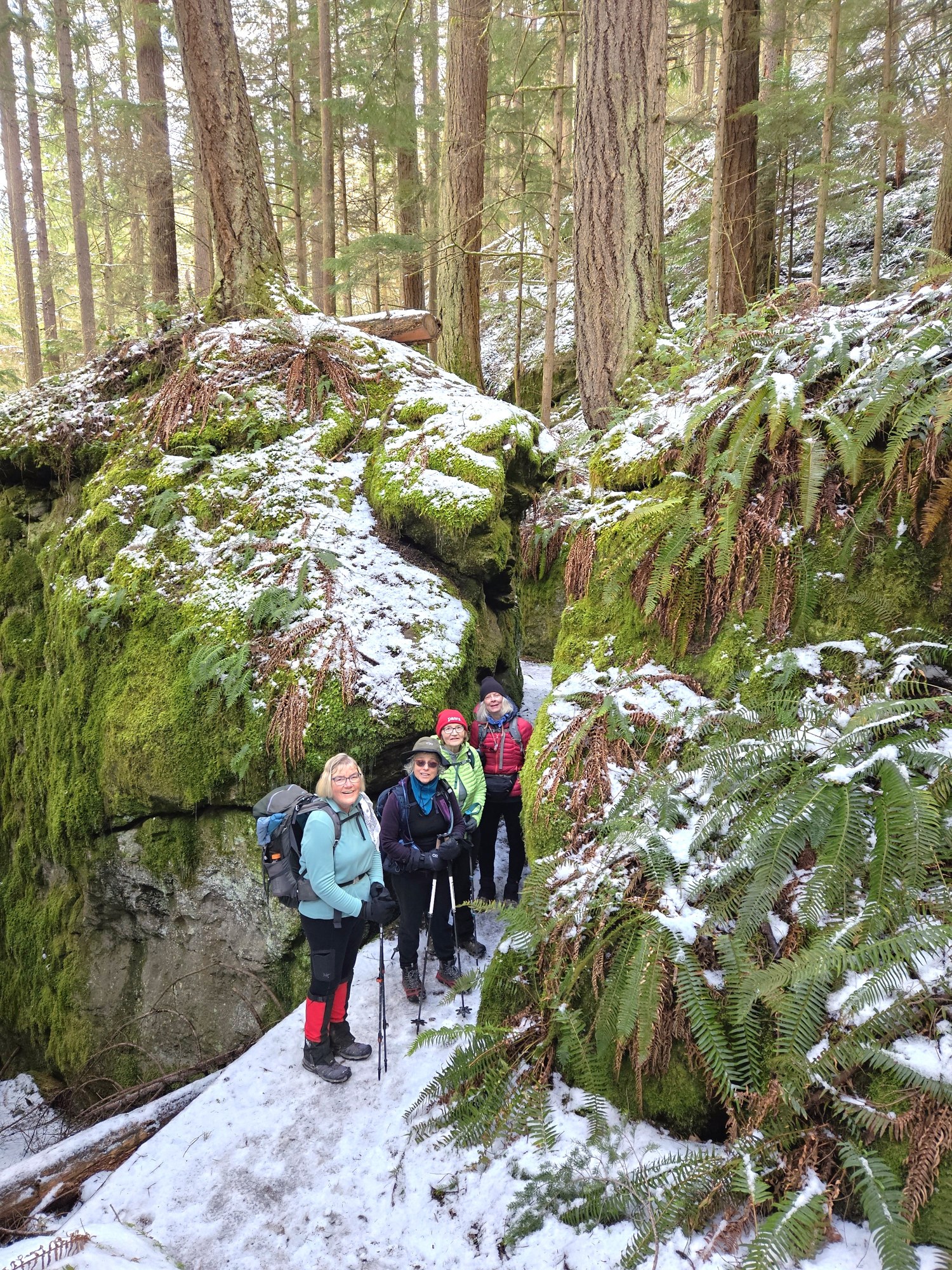 Day Hike - Tiger Mountain Trail — The Mountaineers