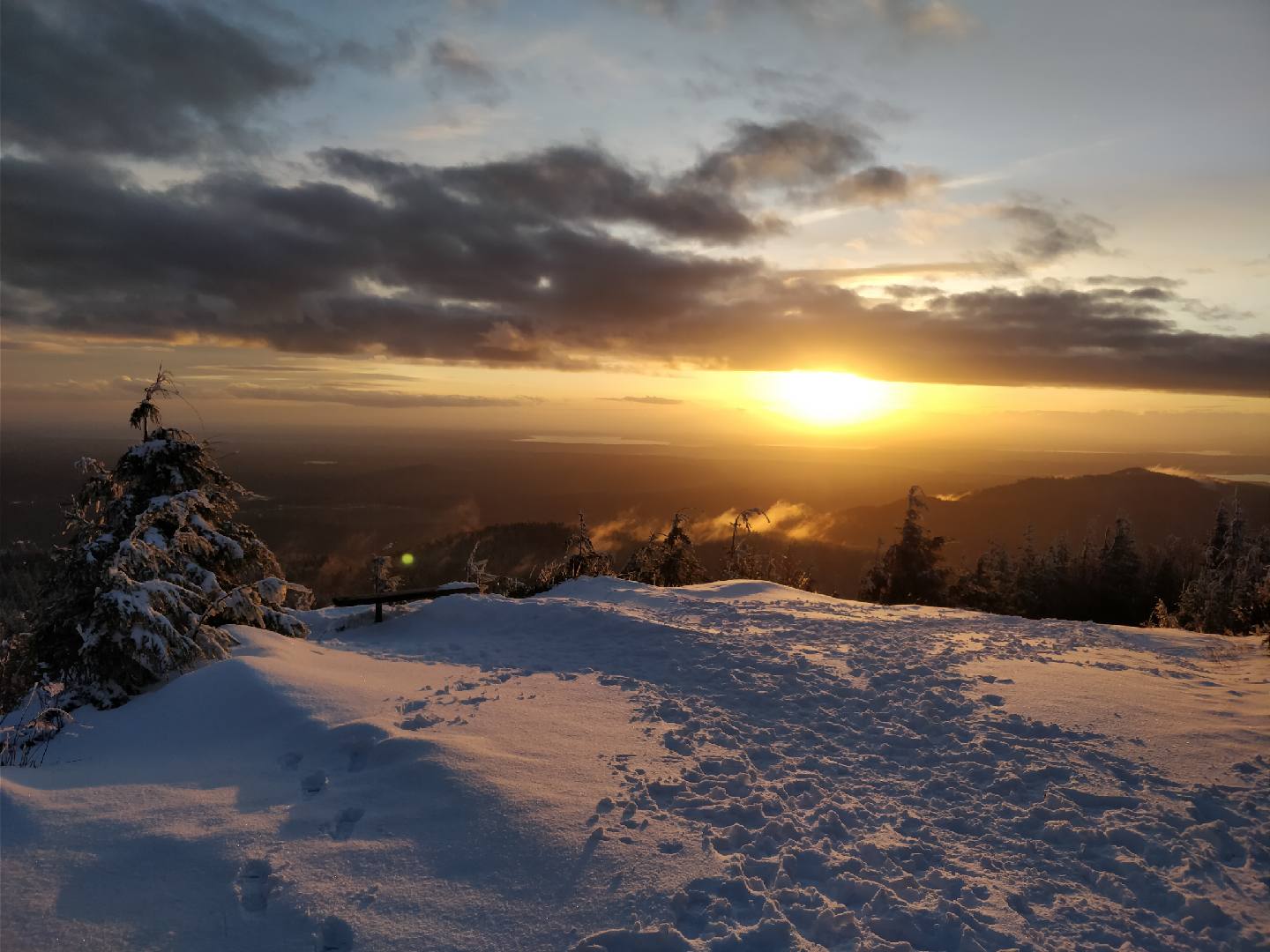Day Hike - West Tiger Mountain 1-2-3 — The Mountaineers